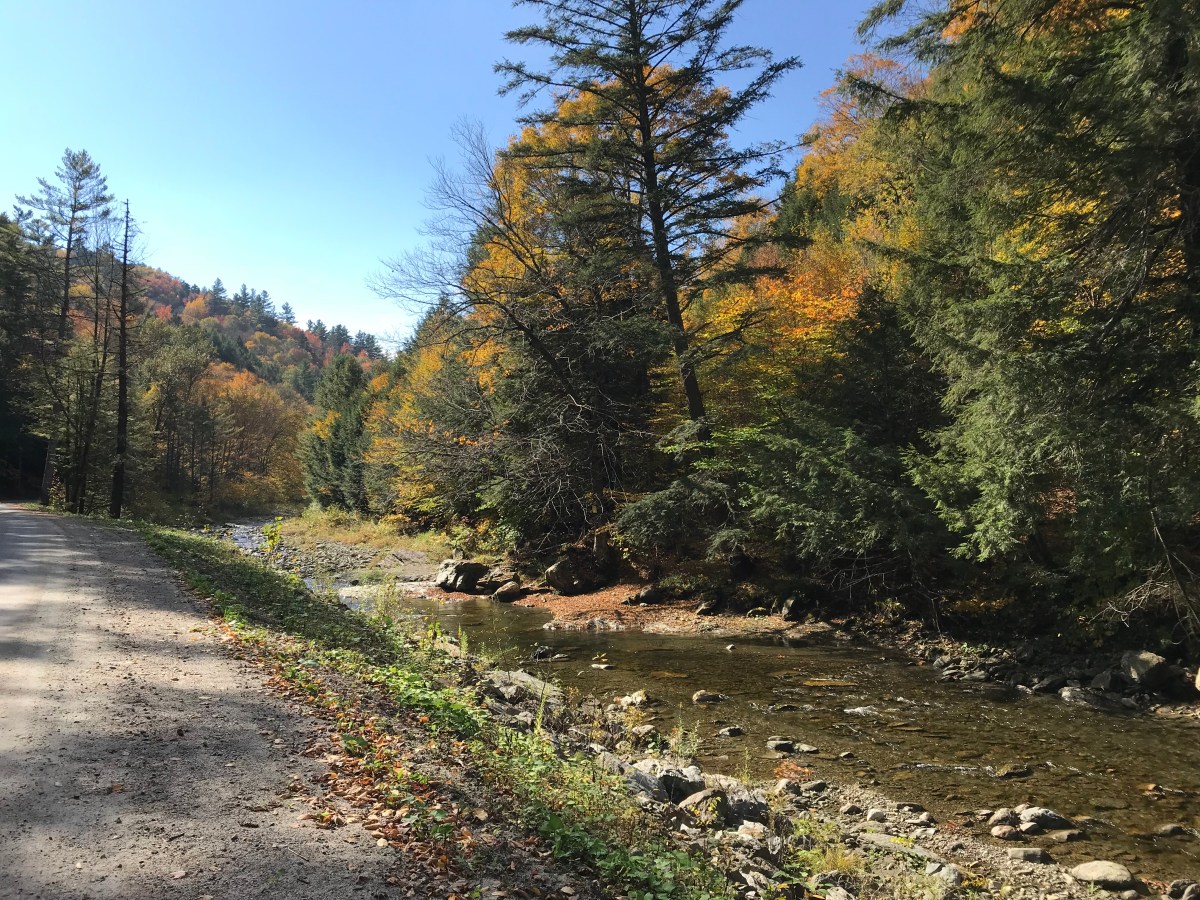 Reluctant Time Travel – Queer Mama Rising