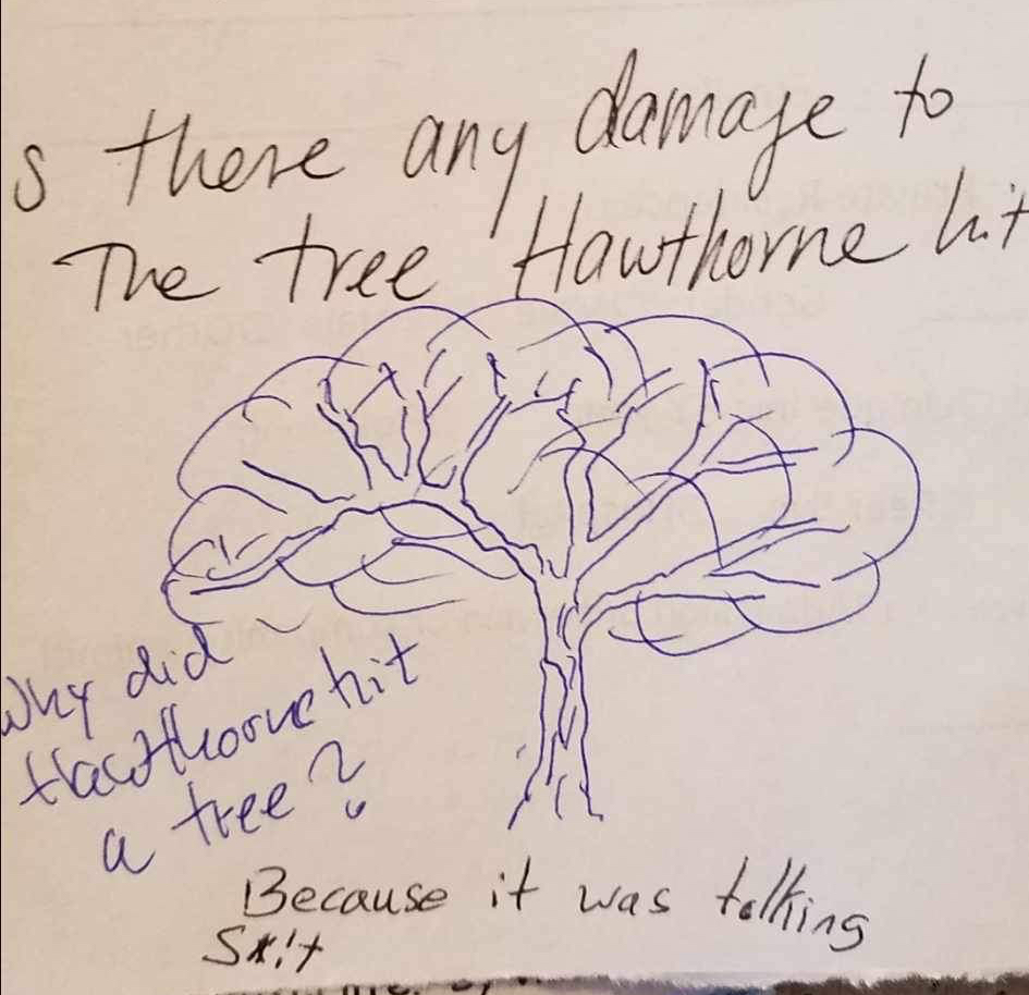 Entry to the Memory Museum of the Chaos Muppet – Queer Mama Rising